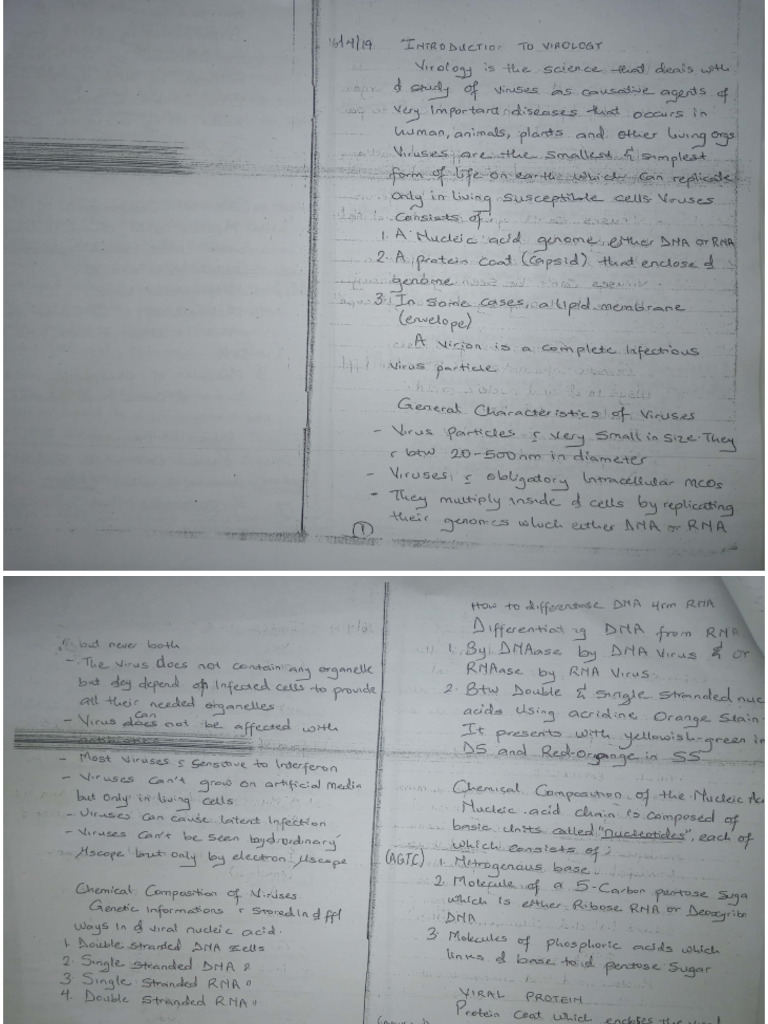 Mcb 319 Virology Complete Note Pdf