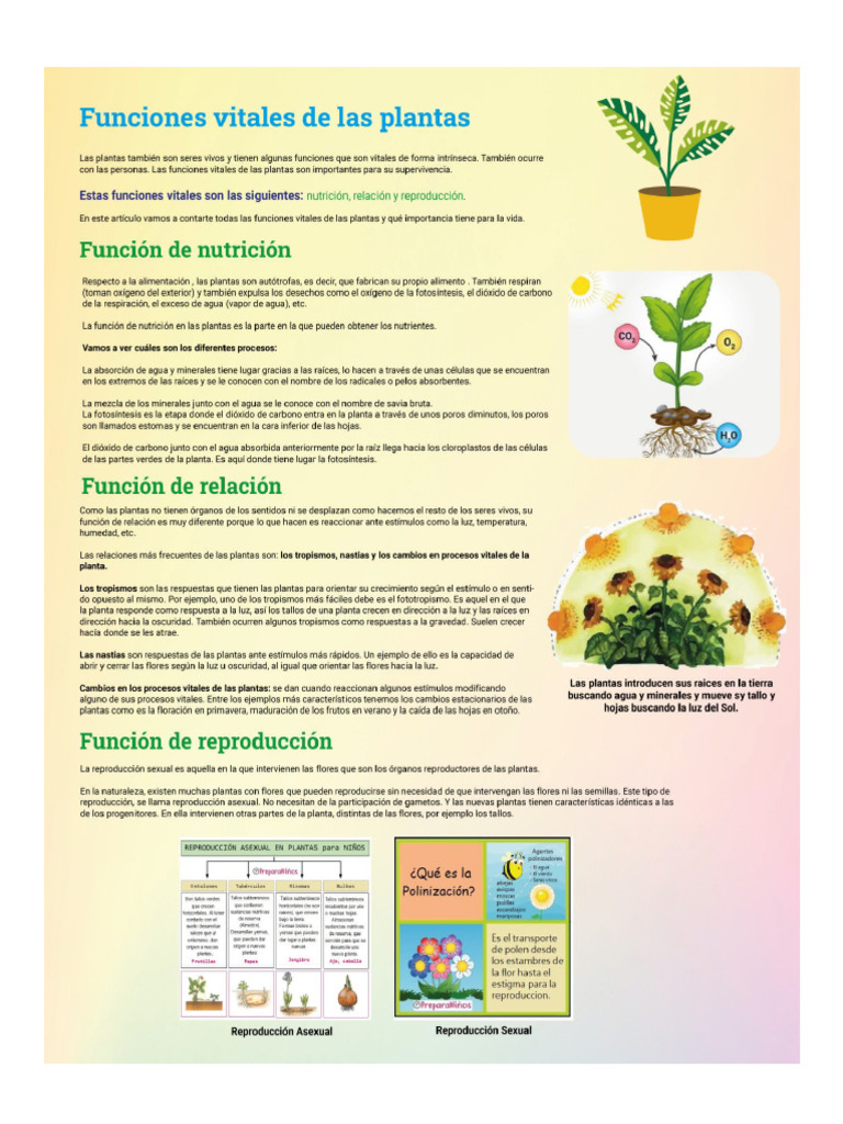 Funciones Vitales de Los Animales y Plantas. | PDF