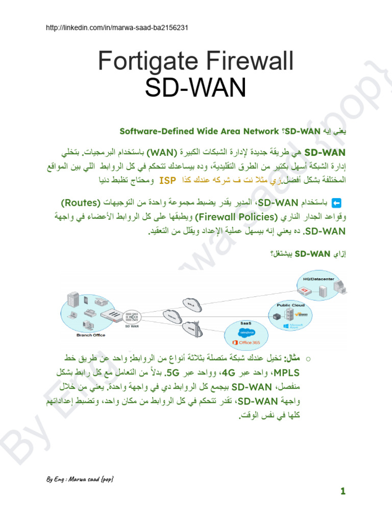 SD Wan | PDF