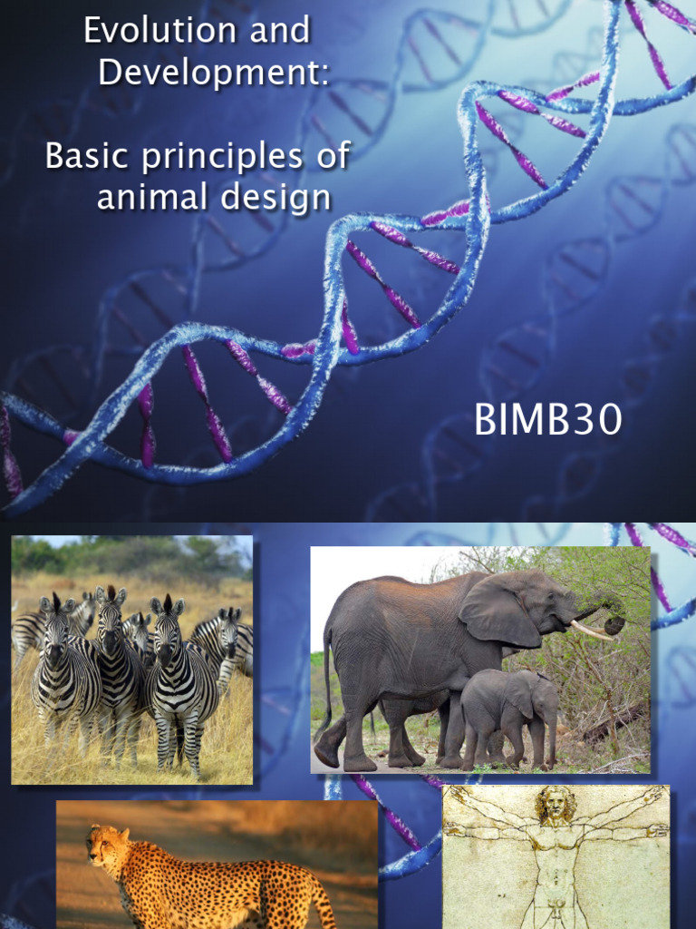 EvoDevo HT23 | PDF