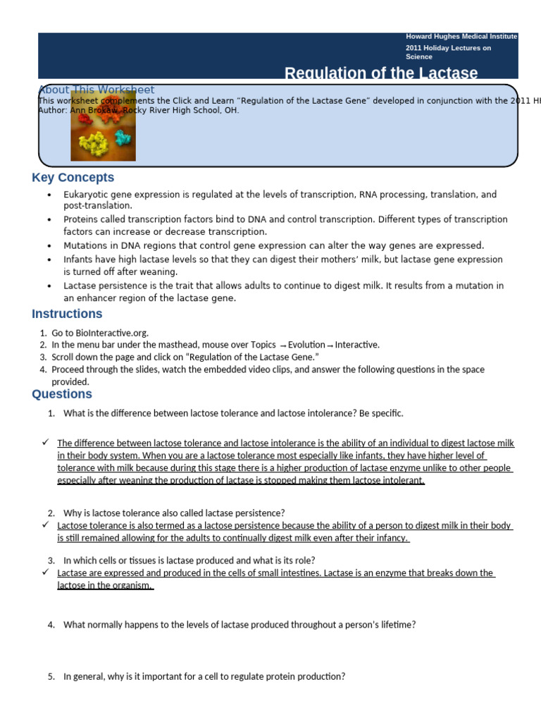 regulation_lactase_gene_click_learn_worksheet | PDF