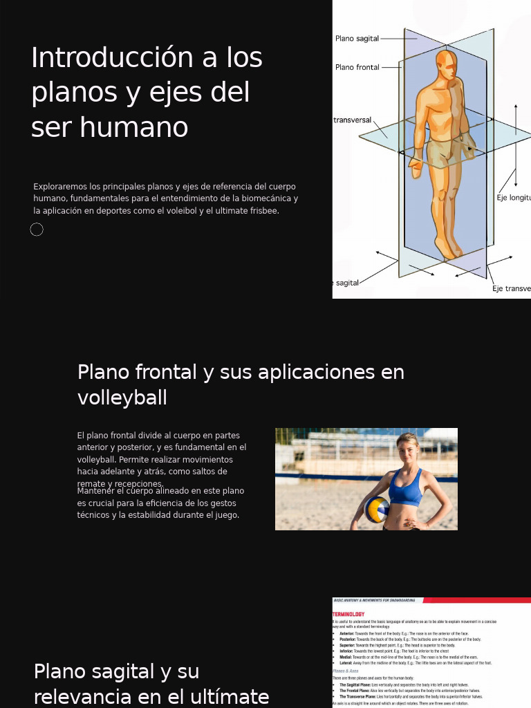 Introduccion A Los Planos y Ejes Del Ser Humano | PDF
