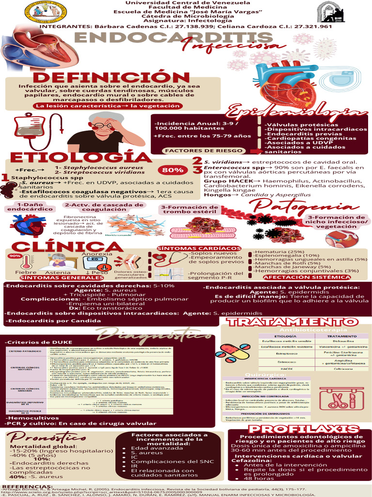 Endocarditis | PDF