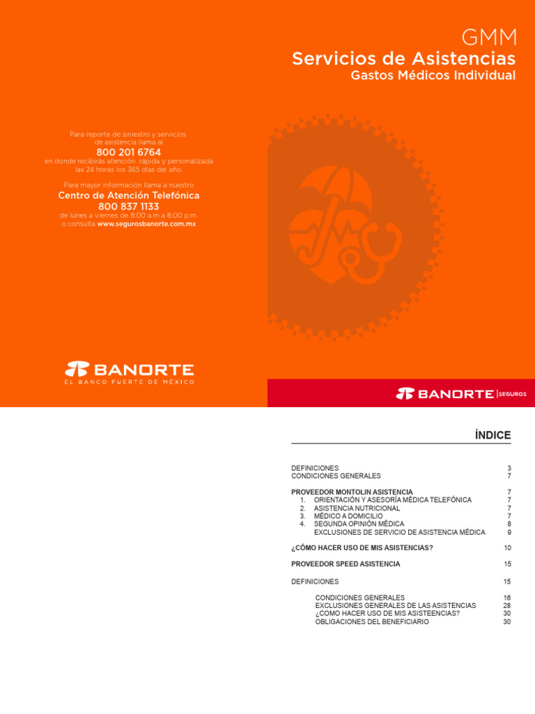 Asistencias Individual 2V V02 | PDF