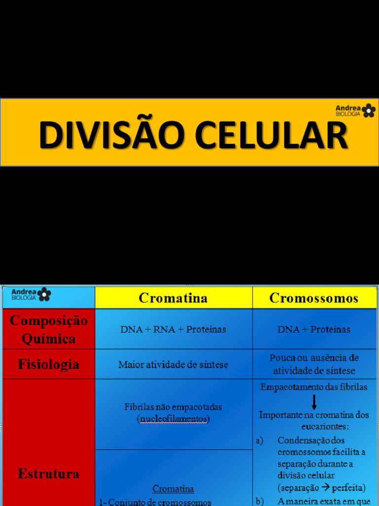 Núcleo E Divisão Celular Pdf