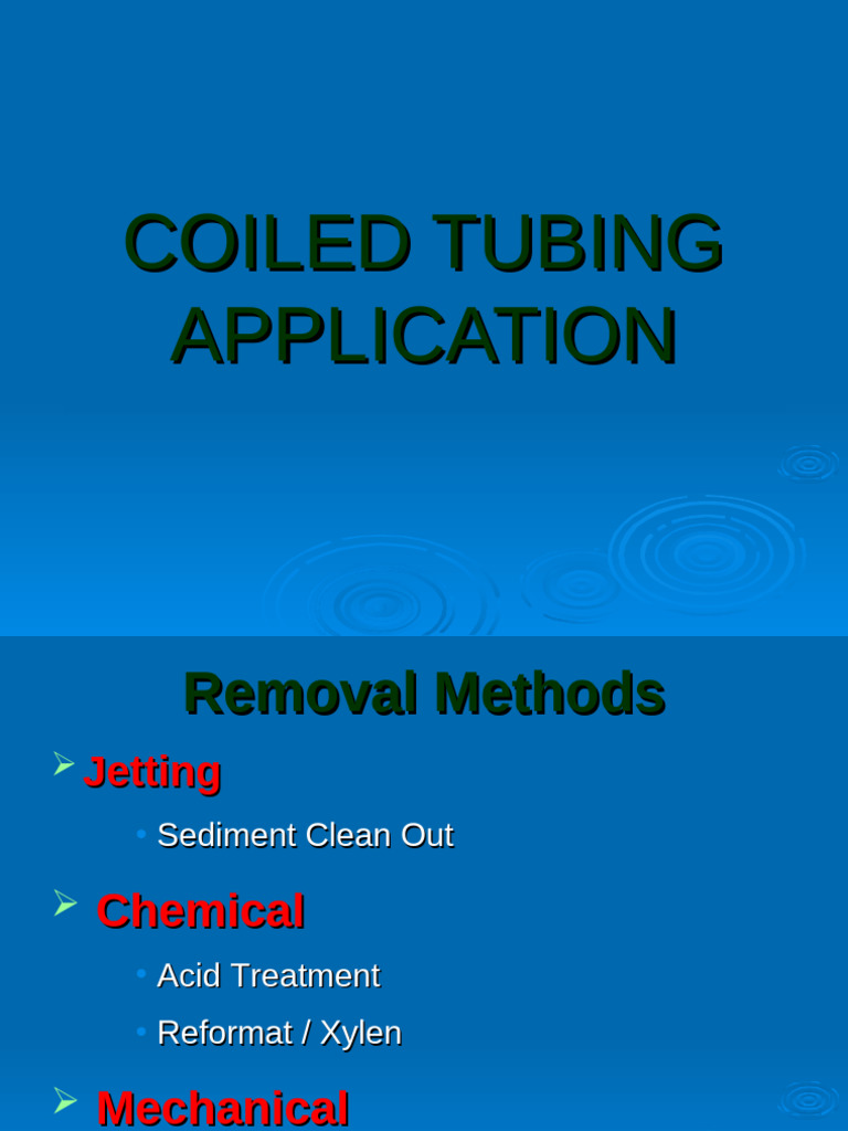Final Presentation Module | PDF