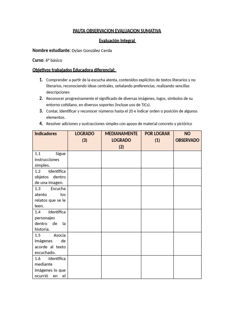 Pauta Observacion Evaluacion Sumativa Dylan G. | PDF