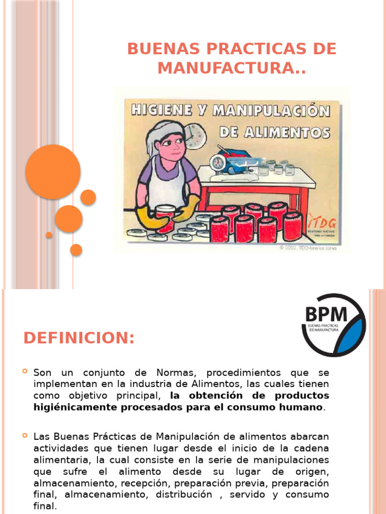 Buenas Practicas de Manufactura | PDF