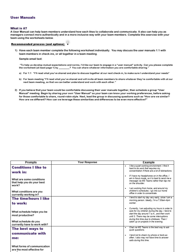 Team User Manual Worksheet | PDF