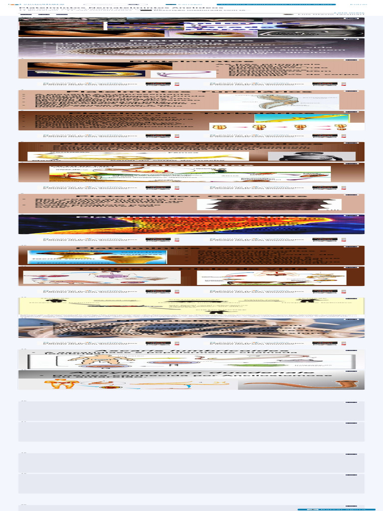 Platelmintos Nematelmintos Anelideos PPT 2 | PDF