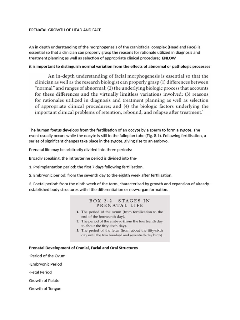 Prenatal Growth of Head and Face | PDF