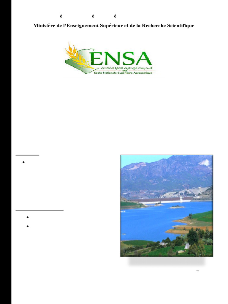 Rapport de Sortie | PDF