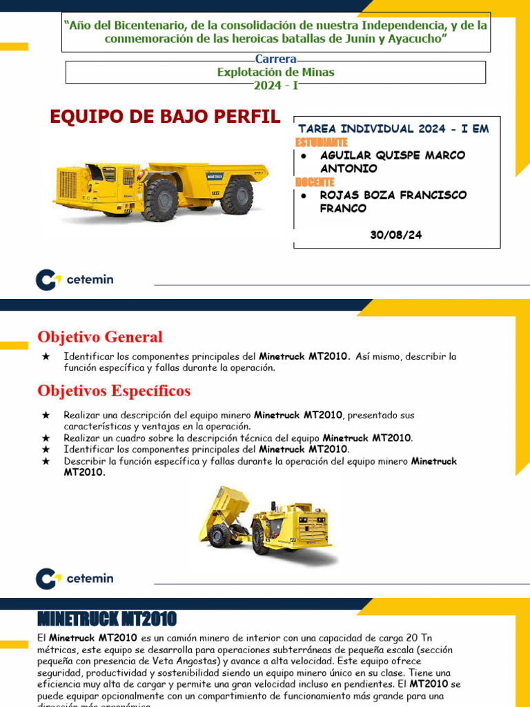 Tarea Individual de Bajo Perfil 2024 em | PDF