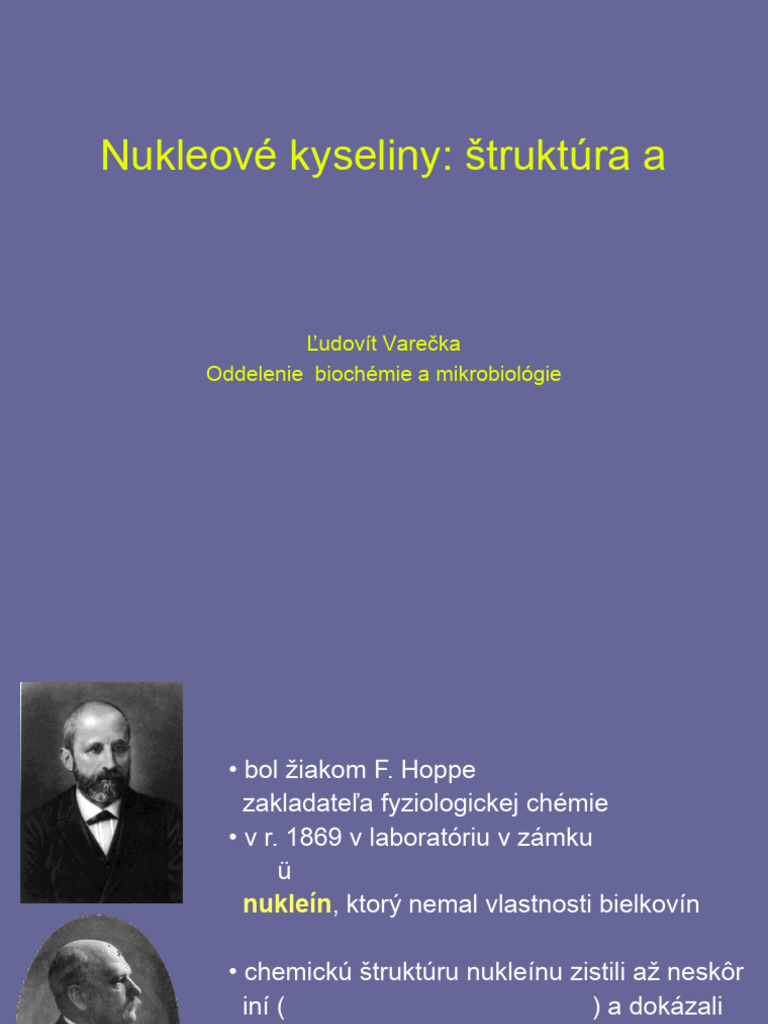 Nukleové Kyseliny: Štruktúra A Funkcia V Organizmoch: Ľudovít Varečka ...