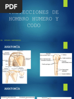 Proyecciones Radiológicas del Húmero | PDF | Hombro | Codo