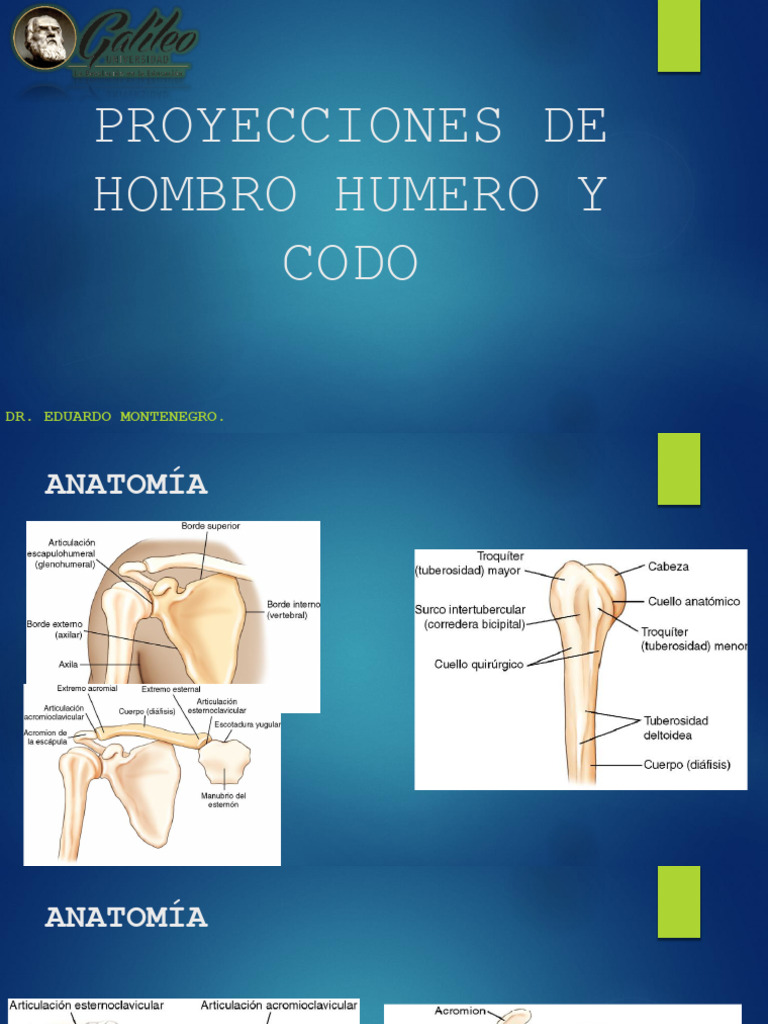 Clase Viii Ix X Hombro Humero y Codo | PDF | Hombro | Ciencia y matemáticas