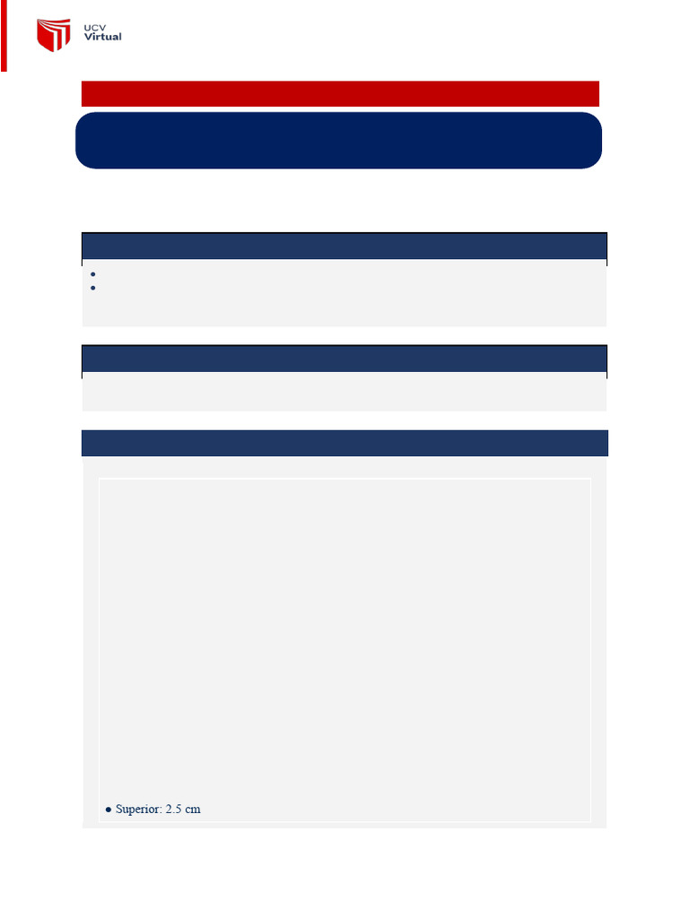 Indicaciones para El Desarrollo de PAI - S5 | PDF | Finanzas y dinero