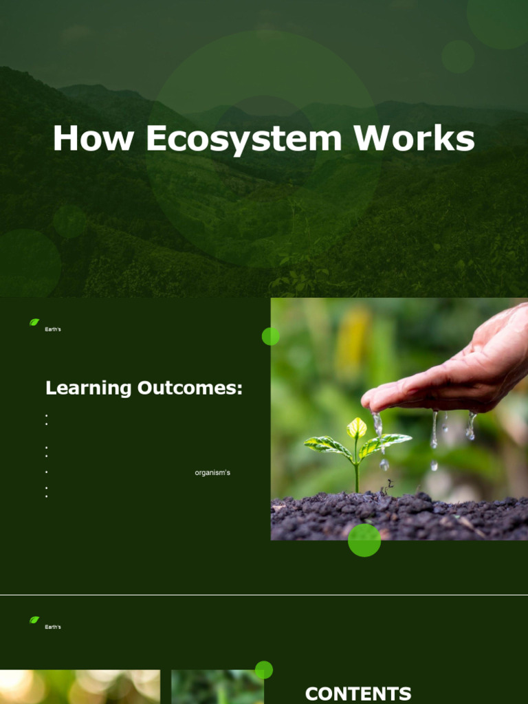 Lesson 2.a. How Ecosystem Works | PDF
