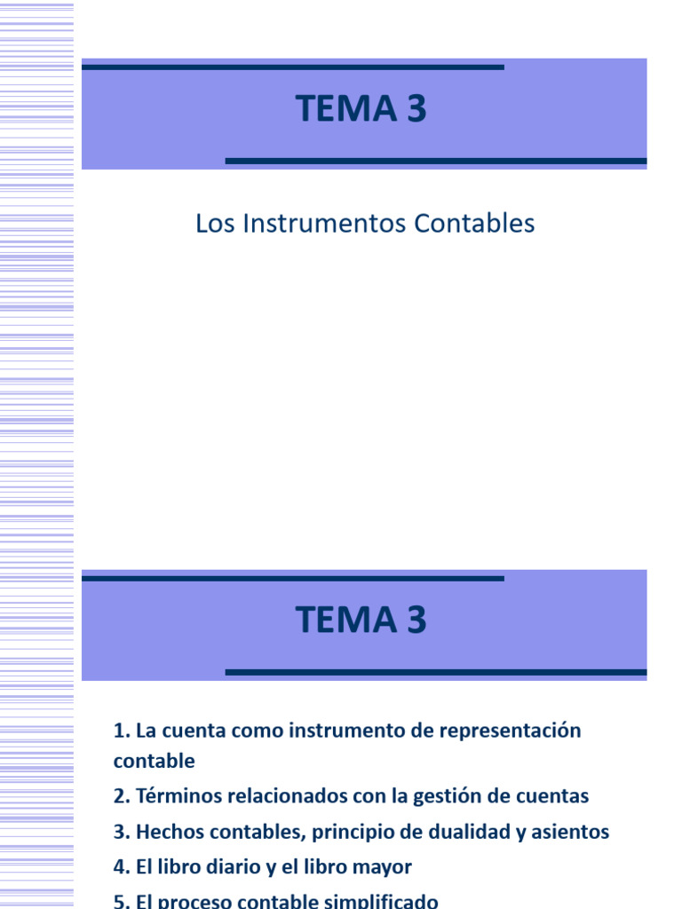 Tema 3. Instrumentos Contables 2425 | PDF