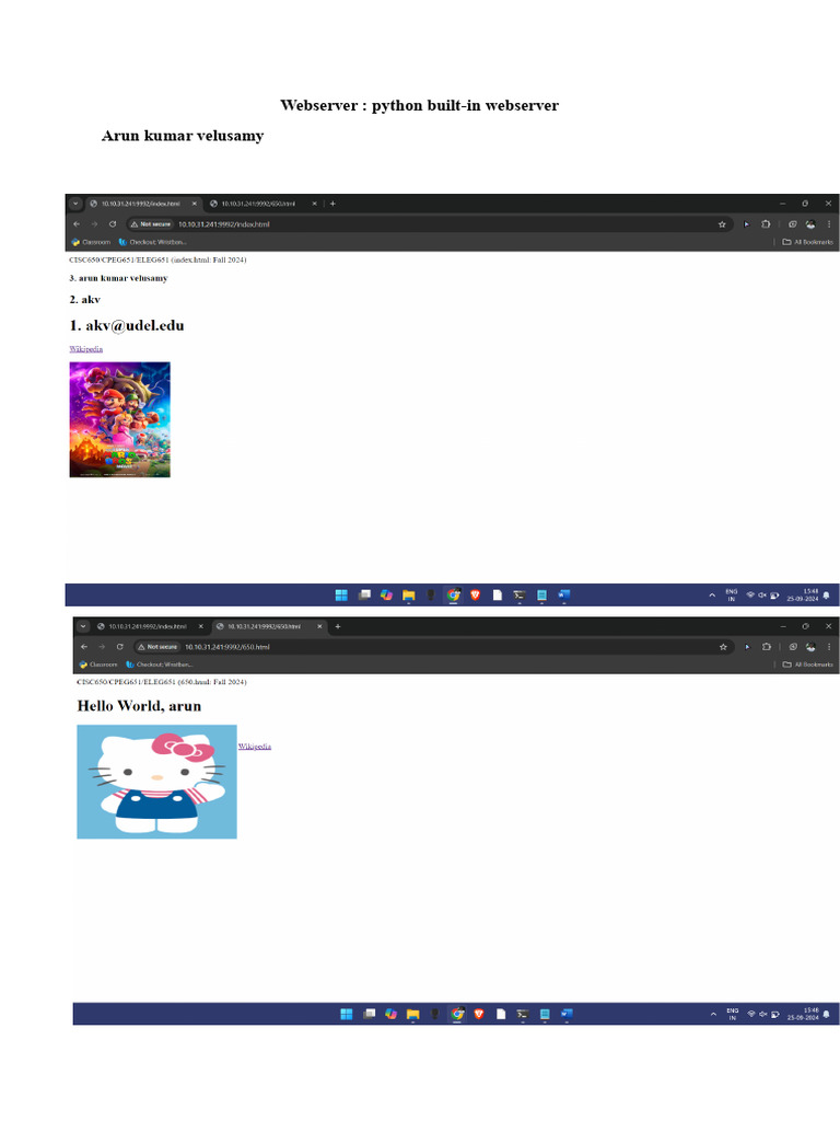 Webserver Assignment | PDF