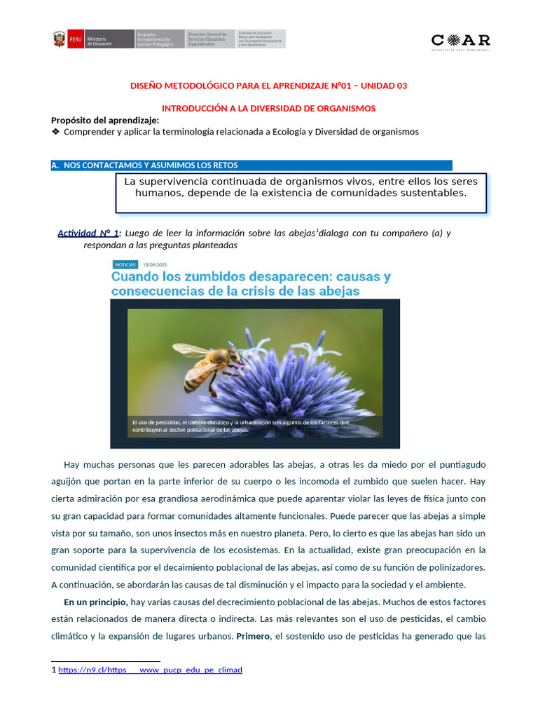 DMpA 01 - III TRIMESTRE - INTRODUCCIÓN A DIVERSIDAD DE ORGANISMOS 2024 ...