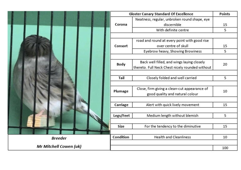 gloster-standard-of-excellence- | PDF