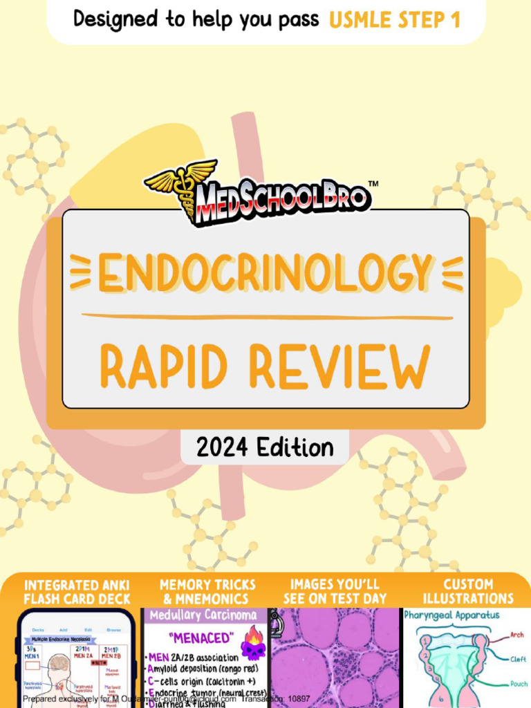 Endocrine Medschoolbro | PDF