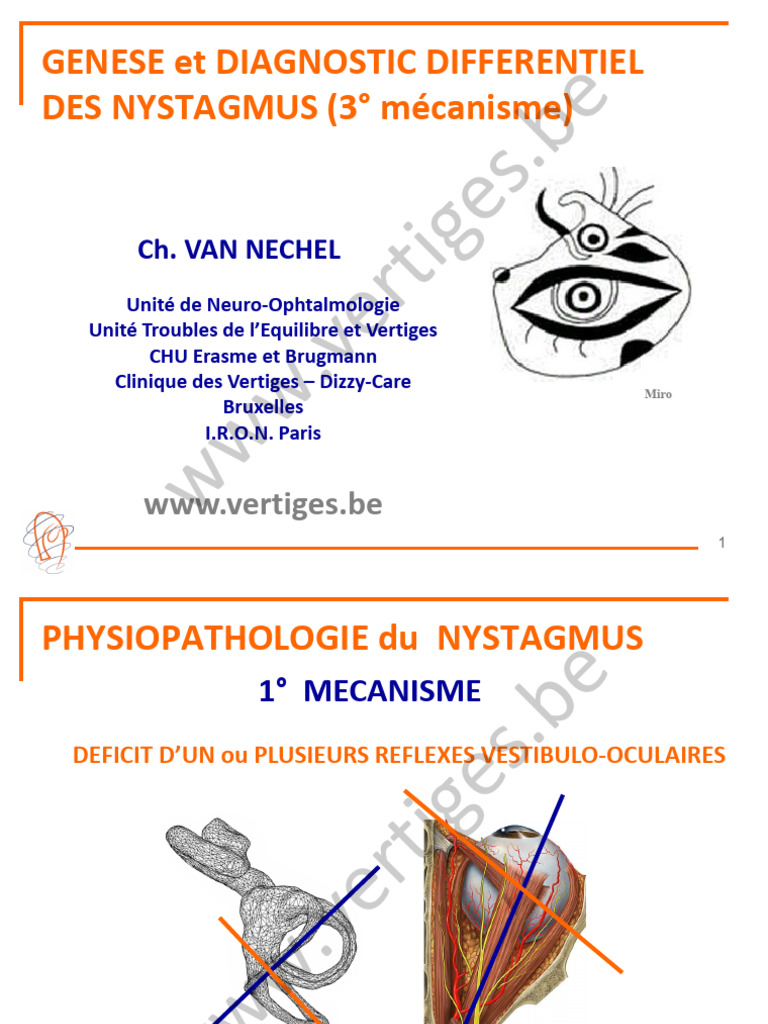 DU Van Nechel Diagnostic Differentiels Des Nystagmus | PDF