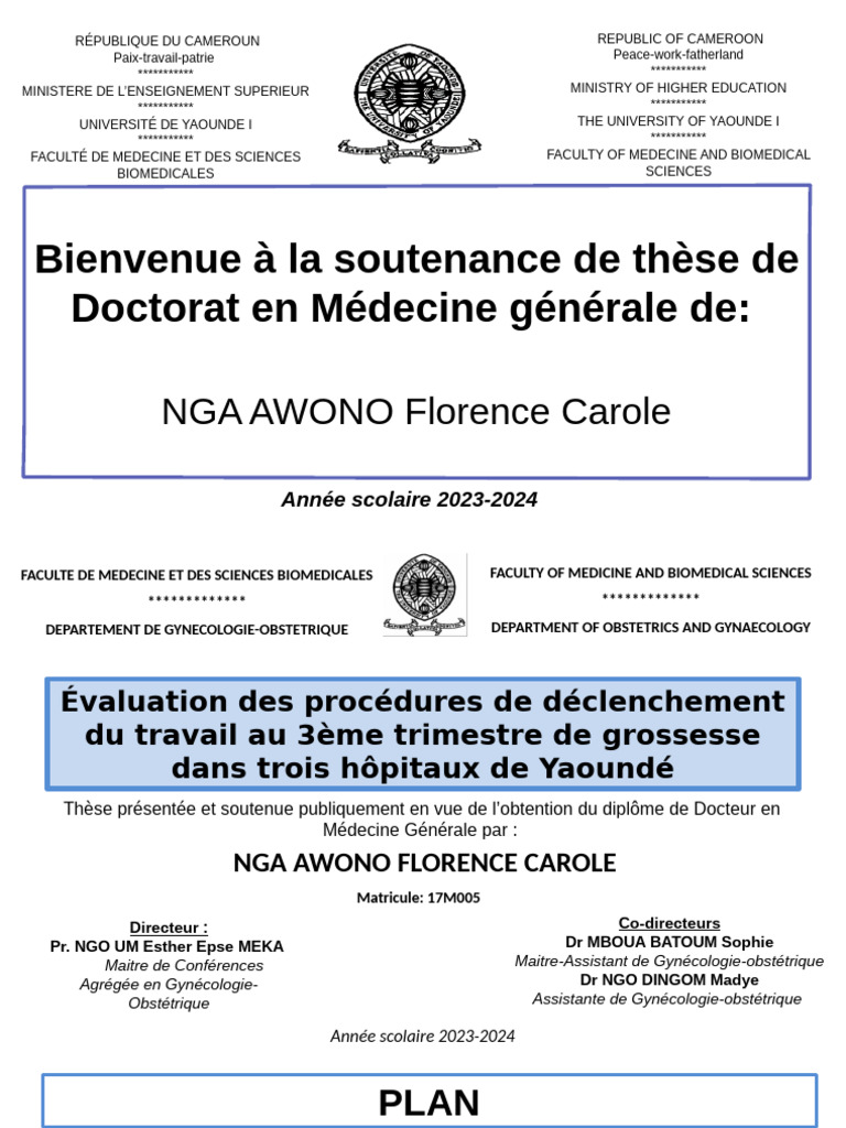 Powerpoint Flo | PDF