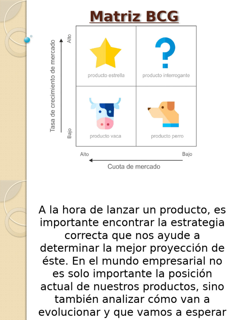 Matriz BCG (1) | PDF