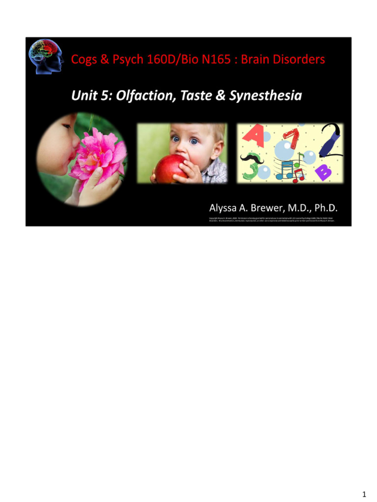 Unit5 OlfactionTasteDisorders Synesthesia | PDF