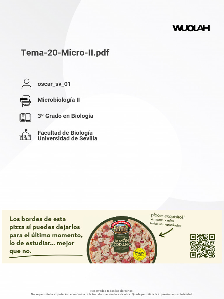 Free Tema 20 Micro II | PDF