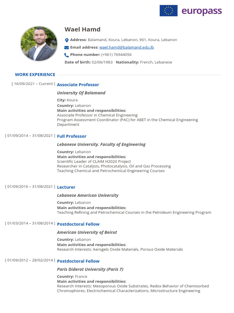CV - Wael Hamd Europass | PDF