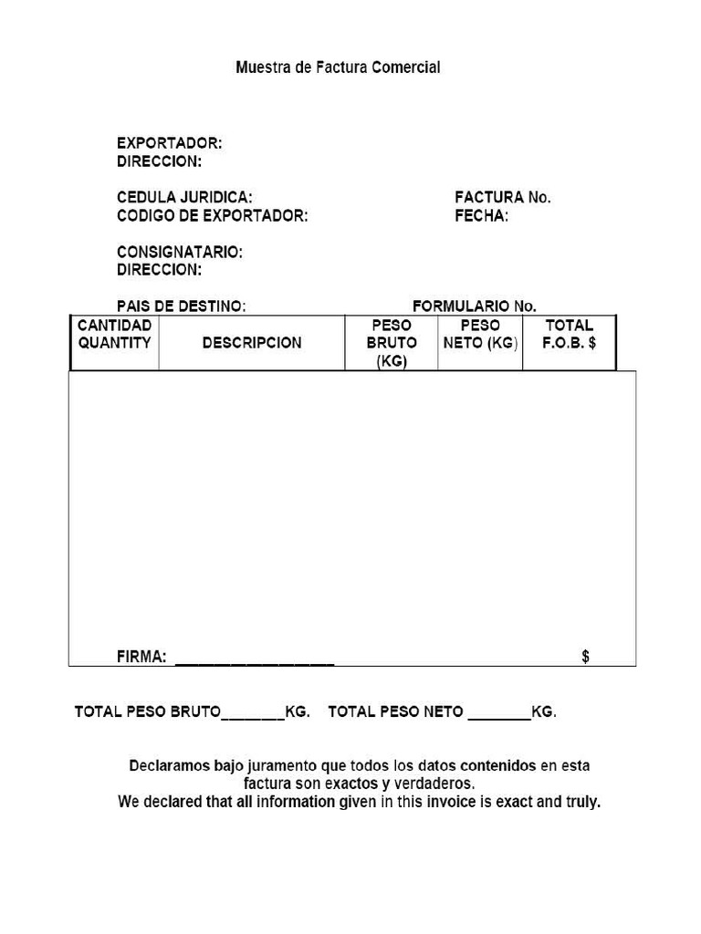 Formulario Factura Comercial CR | PDF
