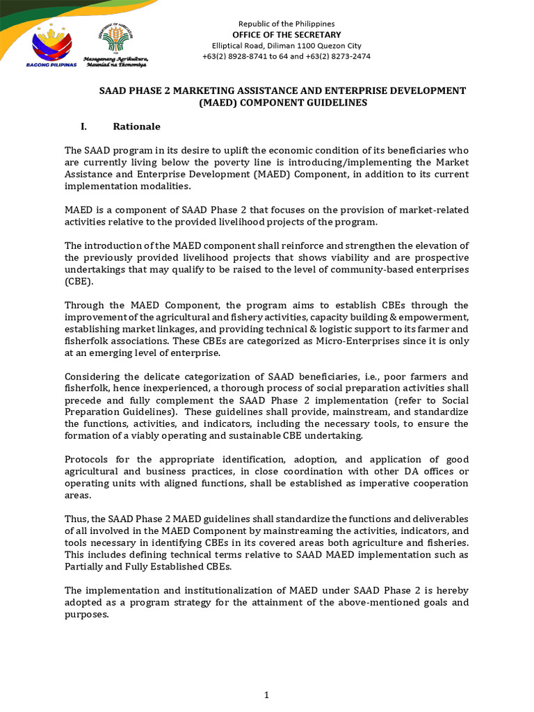 Guidelines MAED Final 28sept2023-1 | PDF