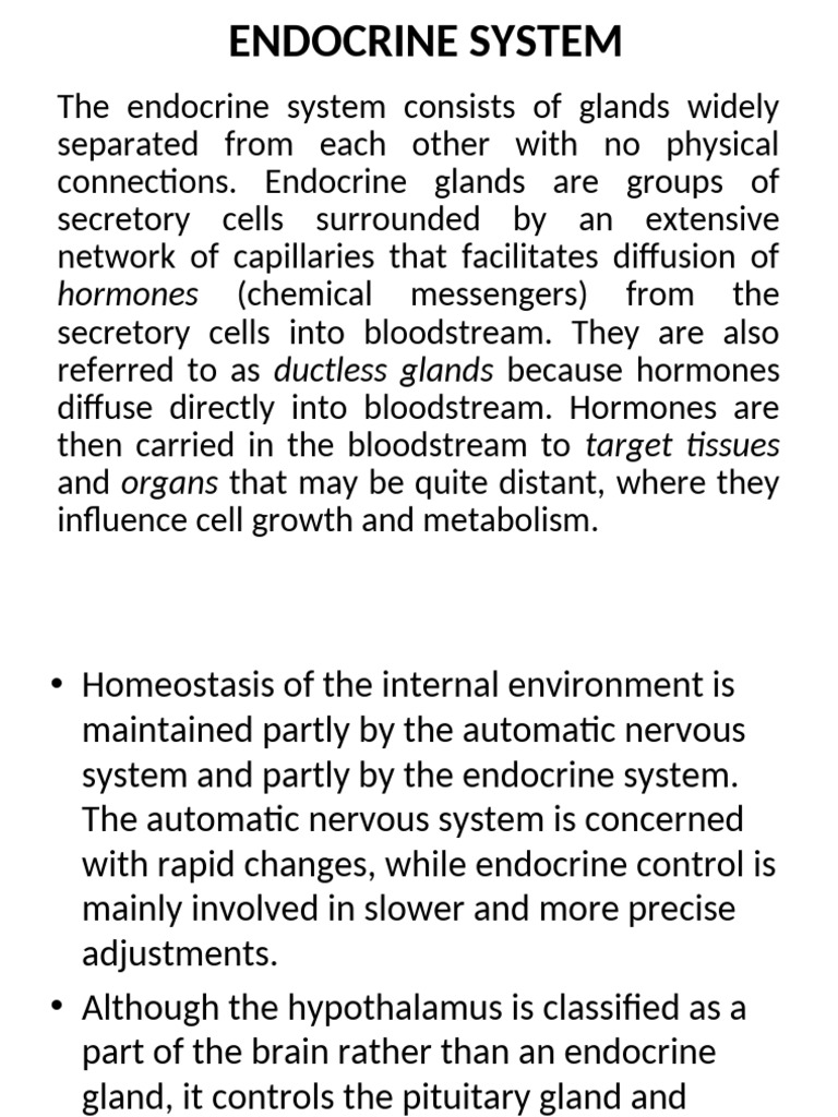 Endocrine System | PDF