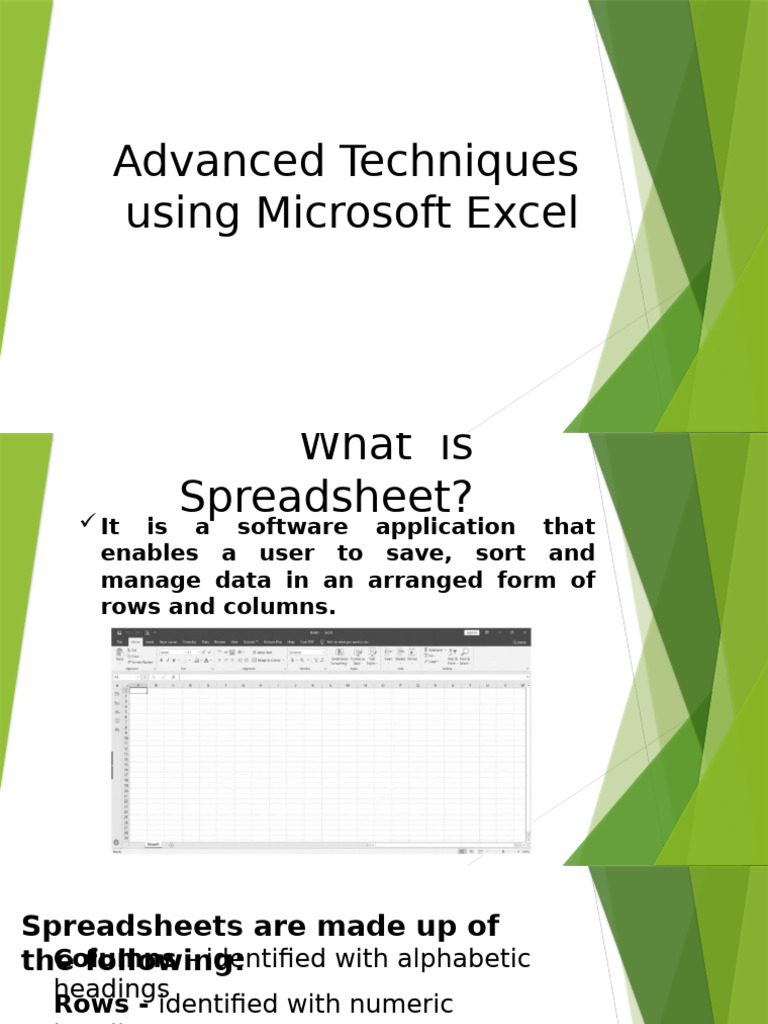Advanced Techniques Using Microsoft Excel Martha Report | PDF