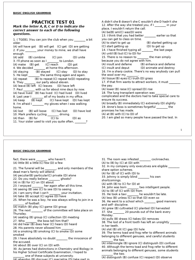 BASIC ENGLISH GRAMMAR | PDF