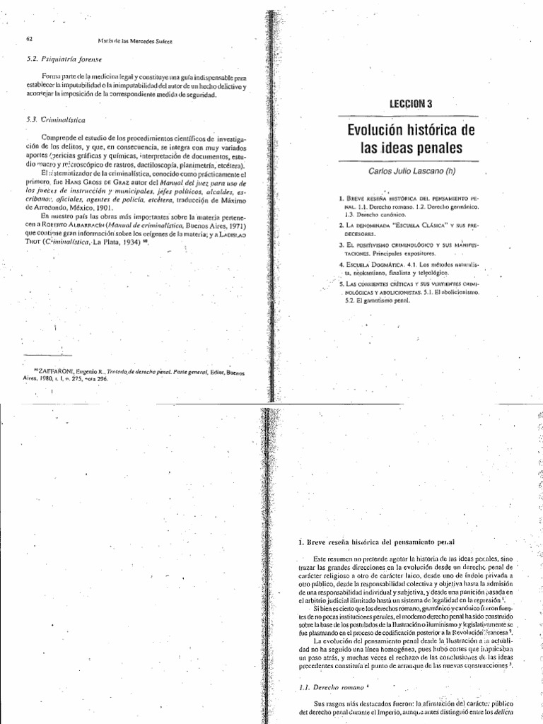 Derecho Penal - Parte General - Carlos Lascano | PDF