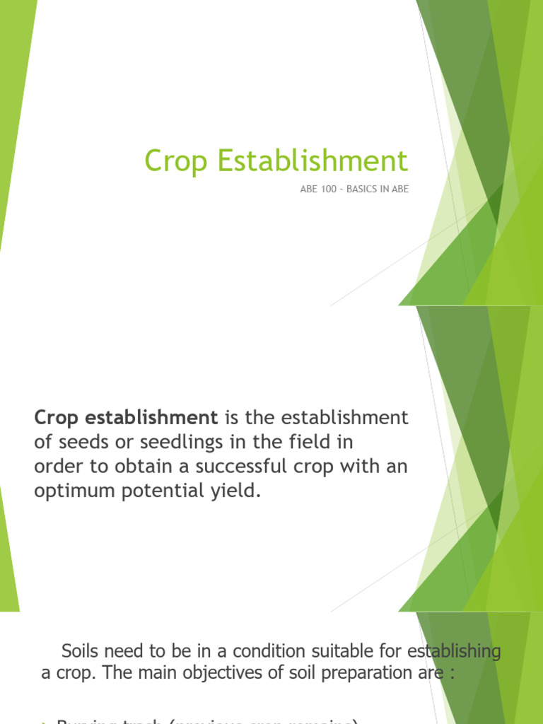 Crop Establishment | PDF