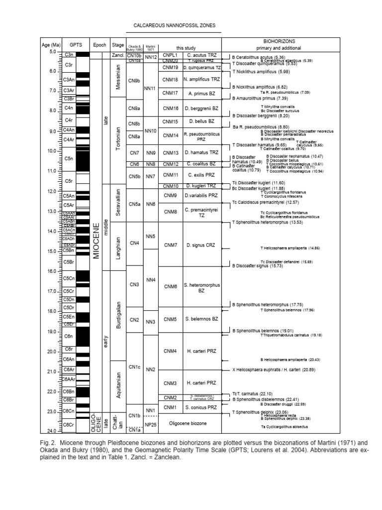 2012 Backman Etal Biozones Part2 | PDF
