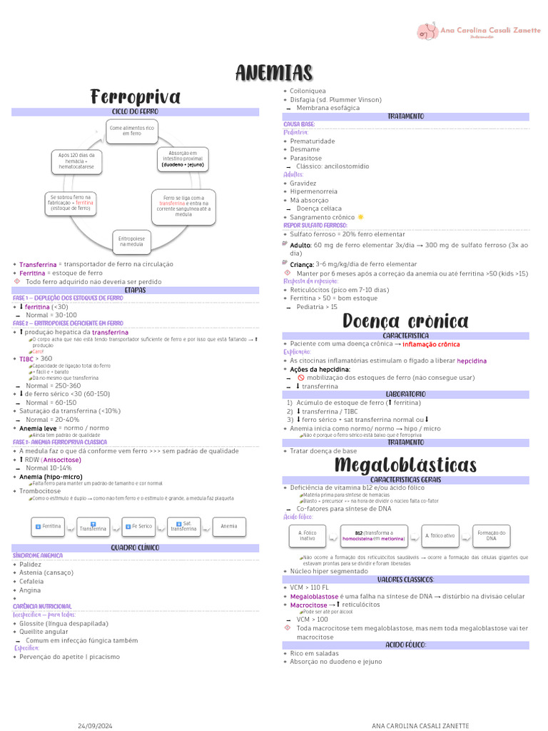Anemias Descritas | PDF