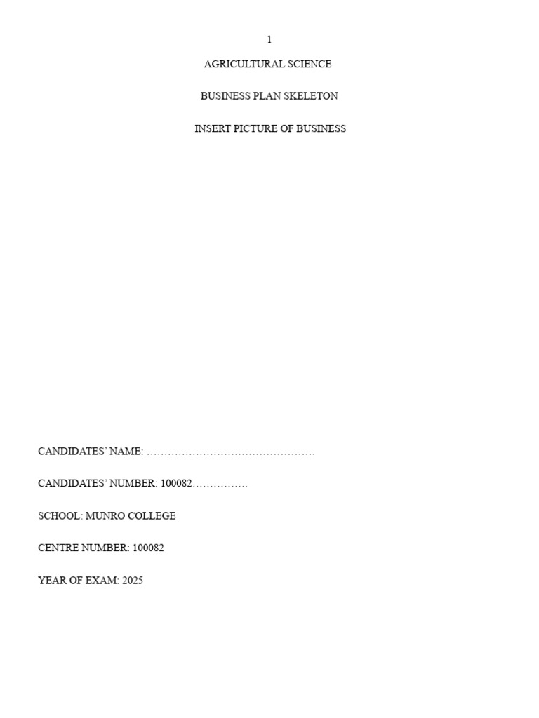 Business Plan Skeleton | PDF