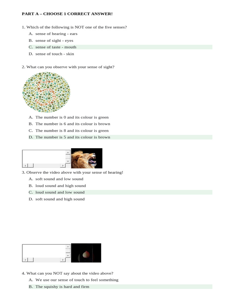 P3 Science - Senses | PDF