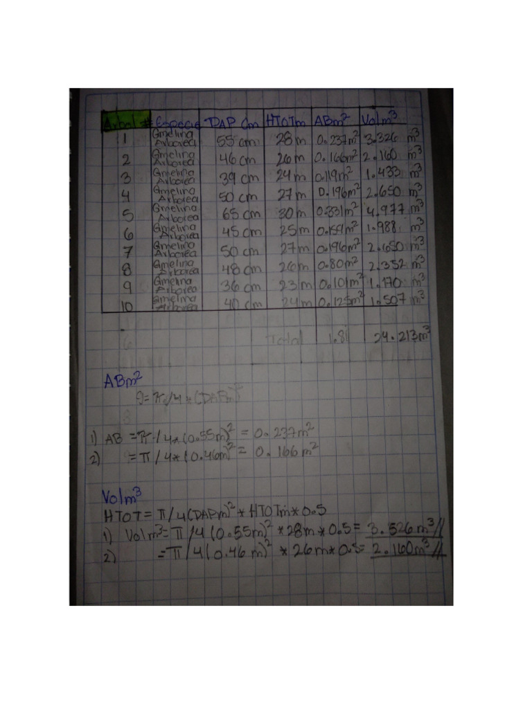 Miguel Adolfo Calel Pop Ejercicio | PDF