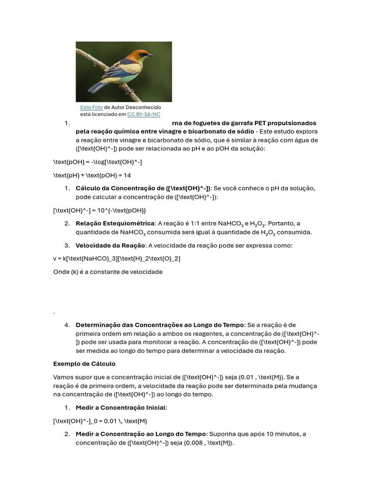 Bird | PDF