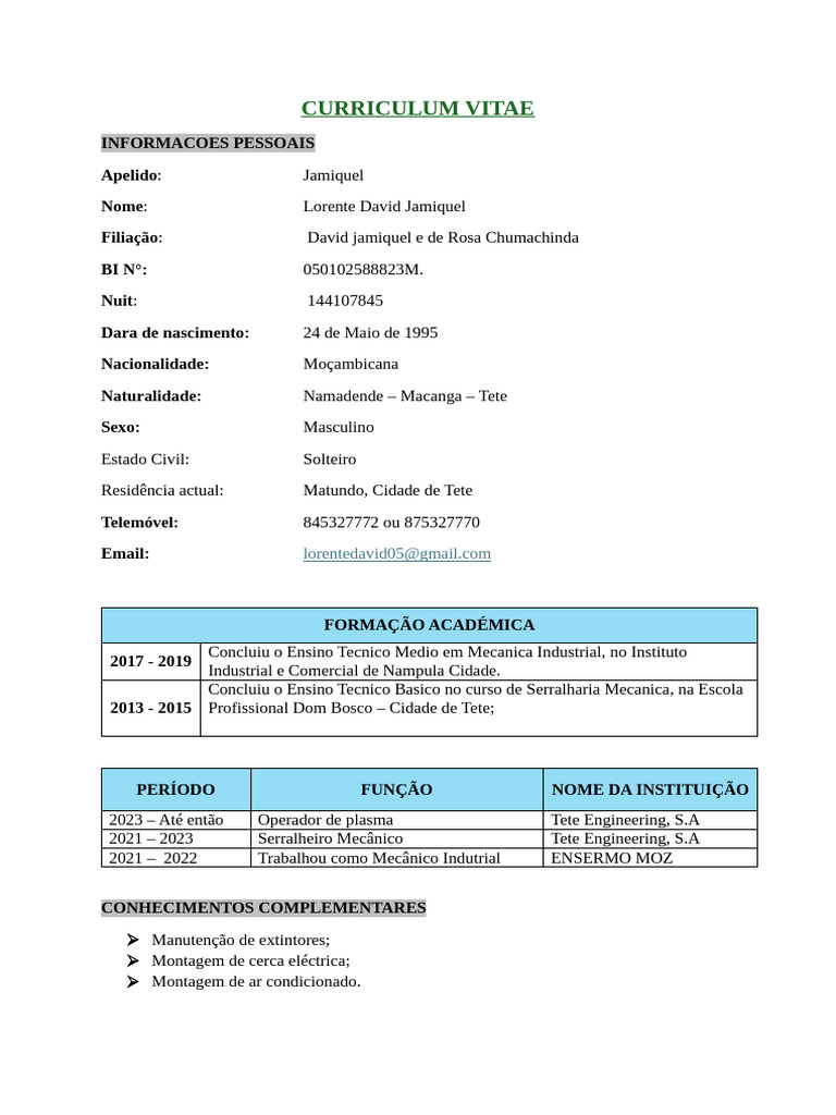 Modelo de CV Simples | PDF | Crecimiento personal y profesional