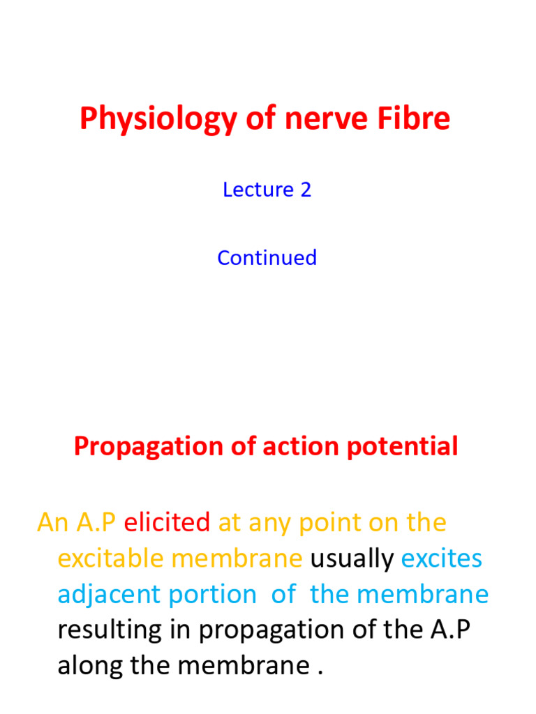 3 - Physiology of Nerve Fiber - 240930 - 022709 | PDF