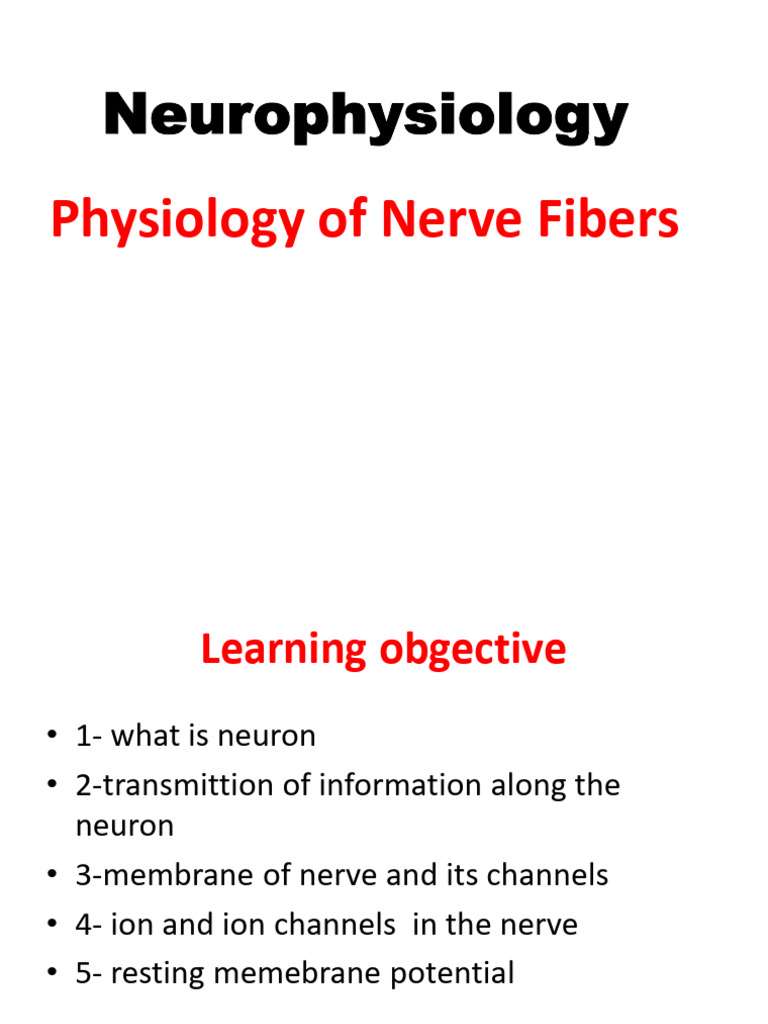 1 - Physiology of Nerve Fiber - 241003 - 175331 | PDF