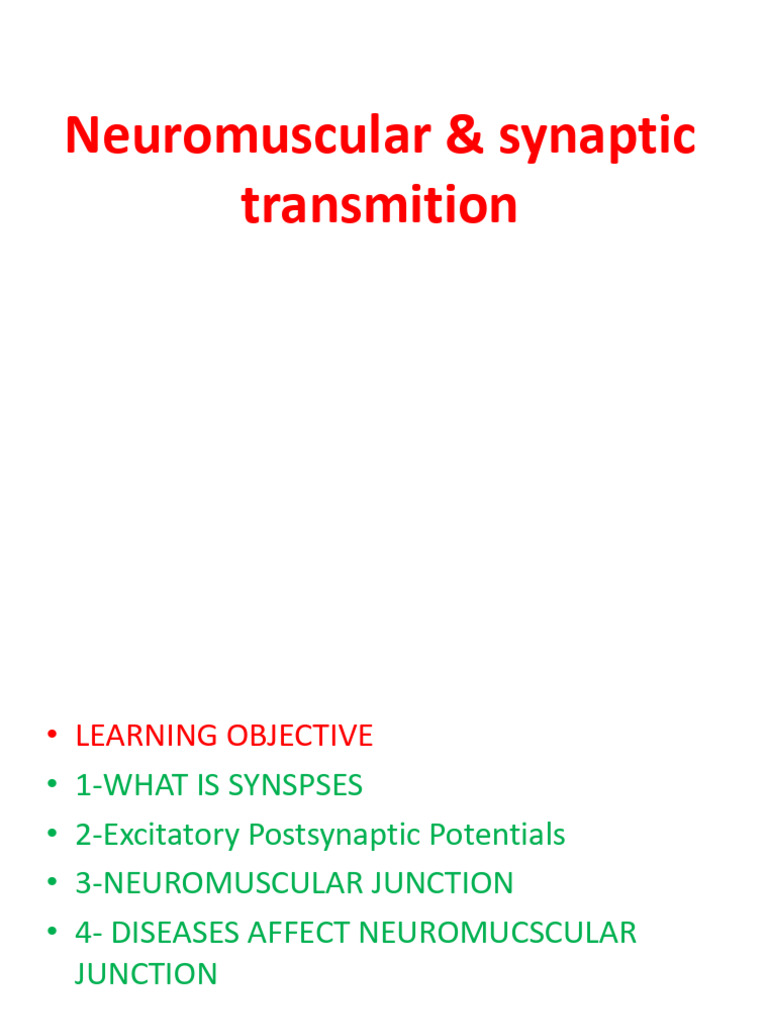 6 - Neuromuscular & Synaptic - 240930 - 132335 | PDF